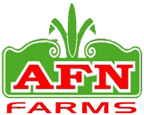 AFN Enterprises